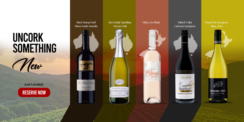 Best Online Wine Shop in Singapore - Benchmark Wines