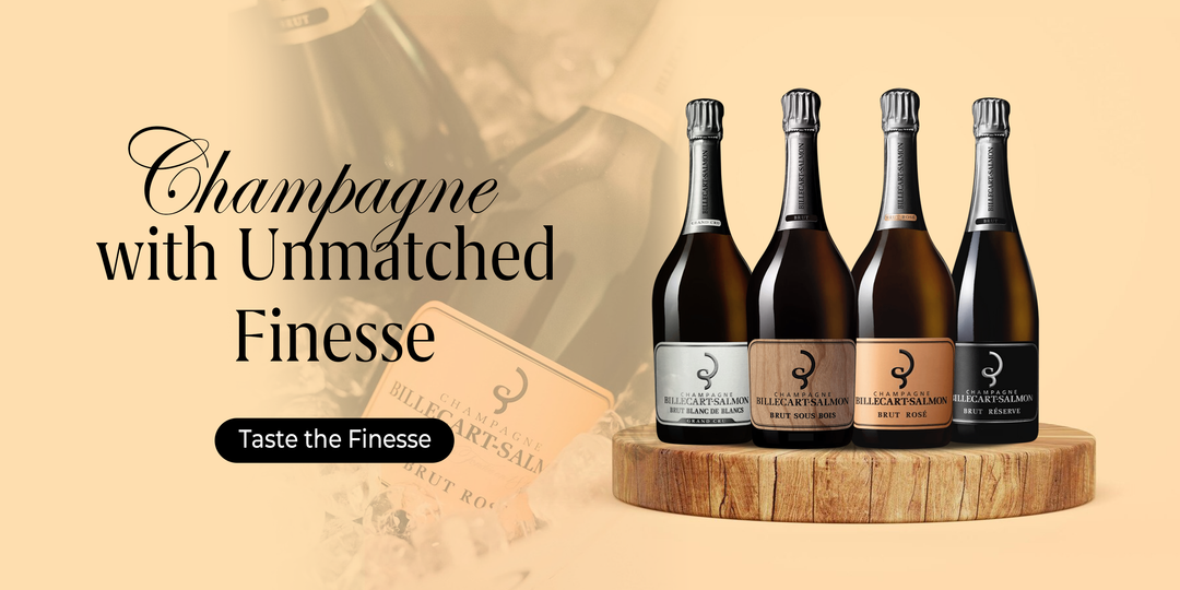 Best Online Wine Shop in Singapore - Benchmark Wines